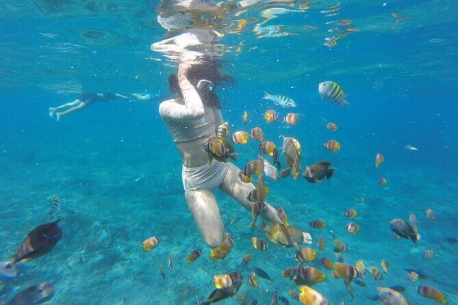 Snorkeling Activity Trip at Nusa Penida - FAQ