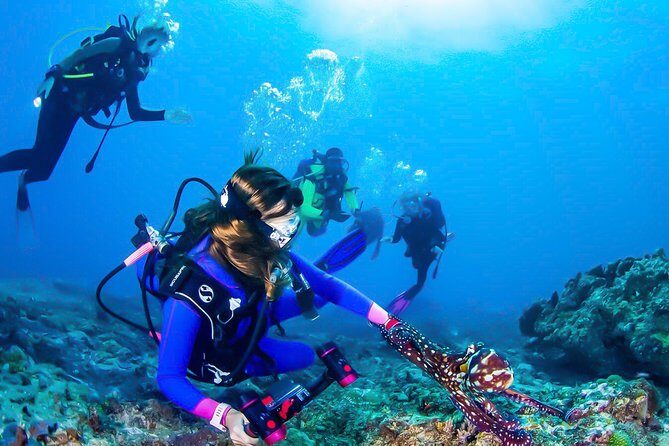 Snorkeling in Talawila St. Anne's Reef - Key Points