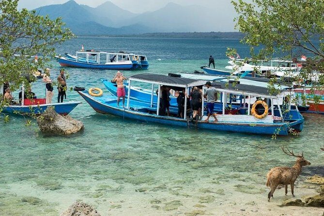 Snorkeling to Menjangan Island - The Experience from a Traveler’s Perspective