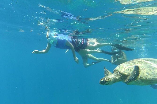 Snorkeling with Turtles on Gili Trawangan - The Experience: What Travelers Say