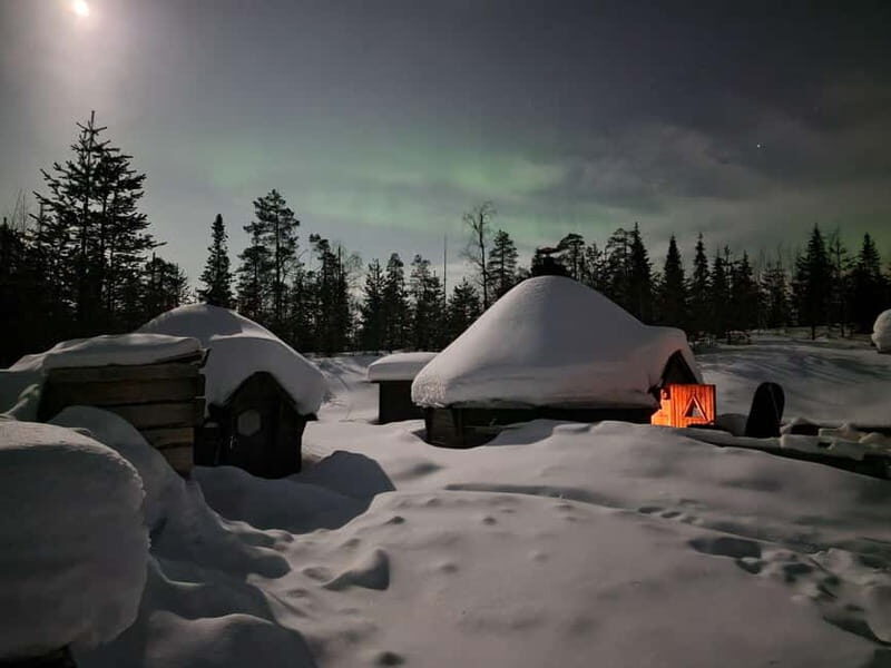 Snow Activities and reindeer feeding in nature - Who Will Love This Experience?