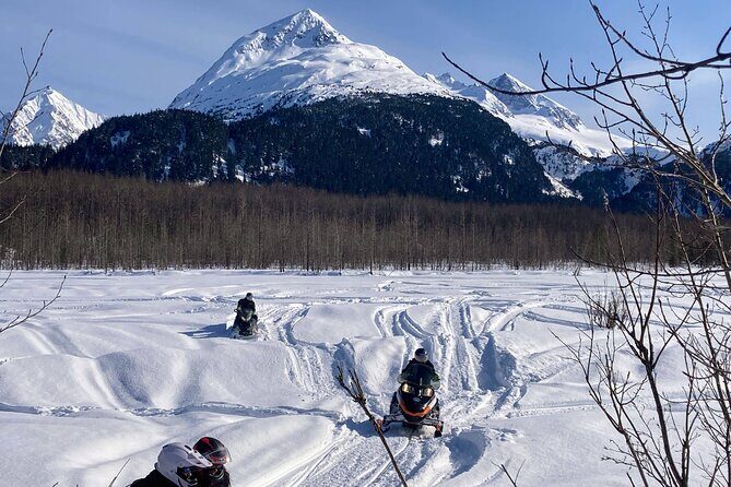 Snowmobile and Snowshoe Dual Adventure in Kenai Fjords NP - What’s Included and What to Consider