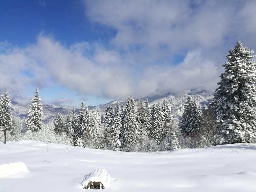 Snowmobile, ATV or Buggy Tour from Bucharest - What Makes This Tour Stand Out?