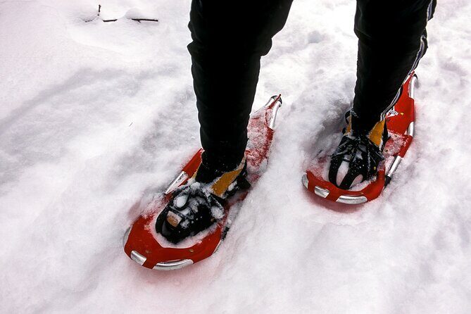 Snowshoe OR Cross Country Ski Tours in Glacier National Park - Who Will Benefit Most?