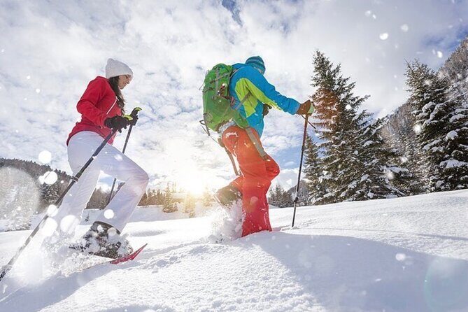 Snowshoe Rentals in South Lake Tahoe - Detailed Breakdown of What You’re Getting