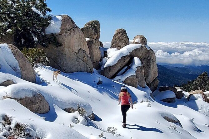Snowshoe Tour Big Bear Lake with Hot Chocolate - The Experience: Authenticity and Personal Touches