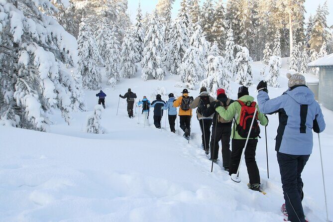 Snowshoe Tour in the Lake Tahoe Mountains - The Experience: What to Expect from This Snowshoe Tour