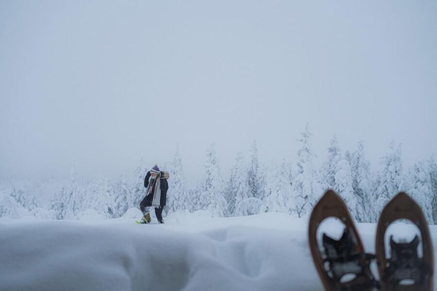 Snowshoeing in the Frozen Forest - Who Is This Tour Best For?
