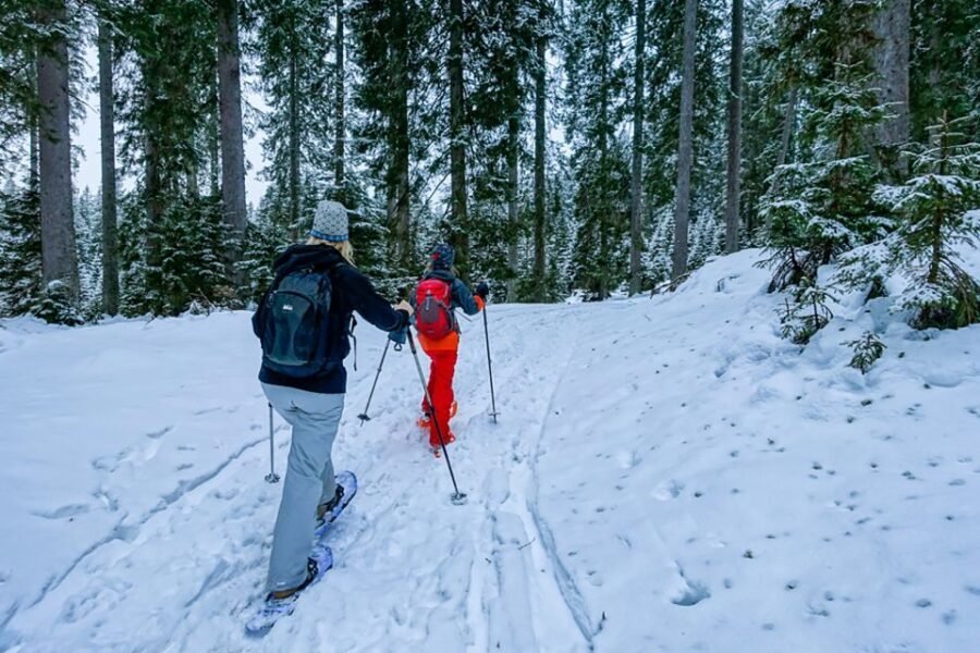 Snowshoeing in Triglav National Park - What Makes This Tour Special?