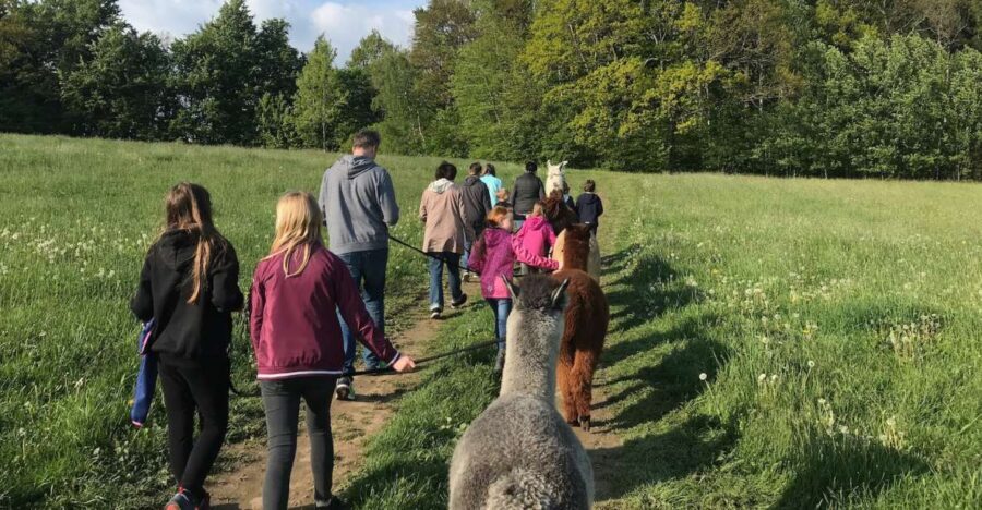 Sohland an der Spree: Walk with an Alpaca - Frequently Asked Questions