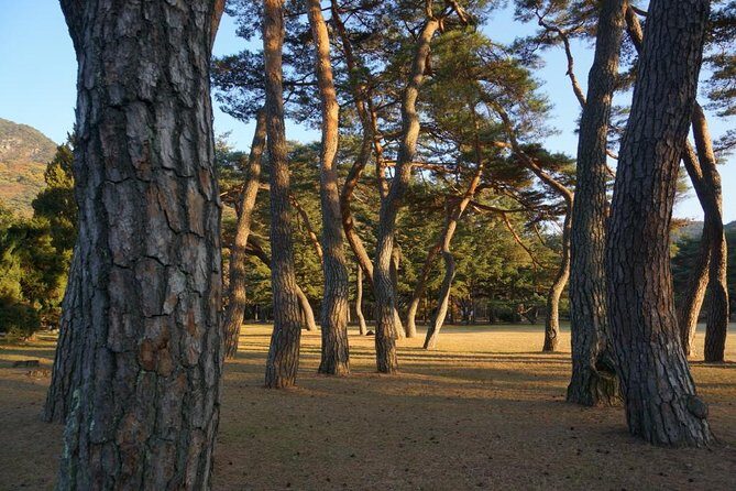 Songnisan National Park & Beopjusa Temple UNESCO site Private Tour - An In-Depth Look at the Tour Itinerary