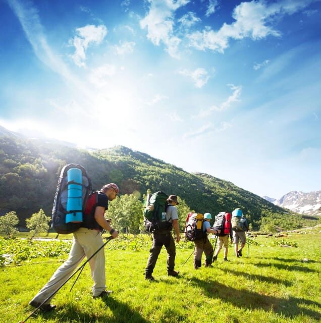 South Africa: 12-Day Cape Town to Johannesburg Tour - Who Should Consider This Tour?