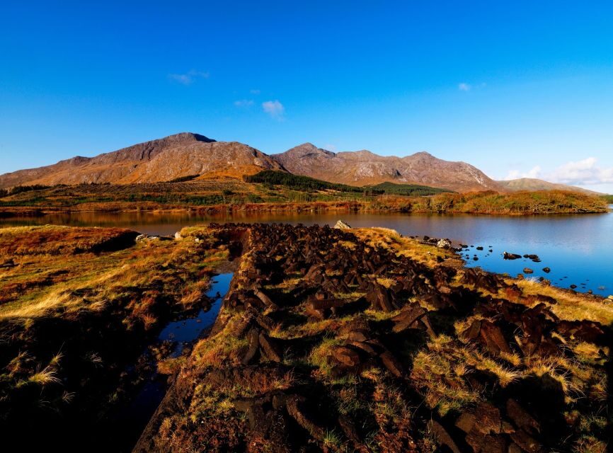 South Western Ireland: 4 Days from Galway to Kerry - What Travelers Say