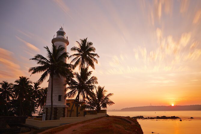 Southern Coast Highlights from Balapitiya - Who Should Consider This Tour?