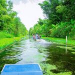 Southern Forest Tour  Explore Hau Giang Nature - Practical Details and Comfort
