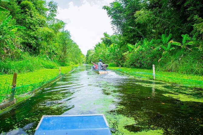 Southern Forest Tour  Explore Hau Giang Nature - Practical Details and Comfort