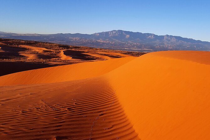 Southern Utah Full-Day ATV Tour - What Do Guests Say?