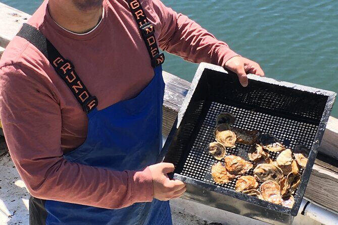 Southold Bay Oyster Farm Tour - The Value of This Tour