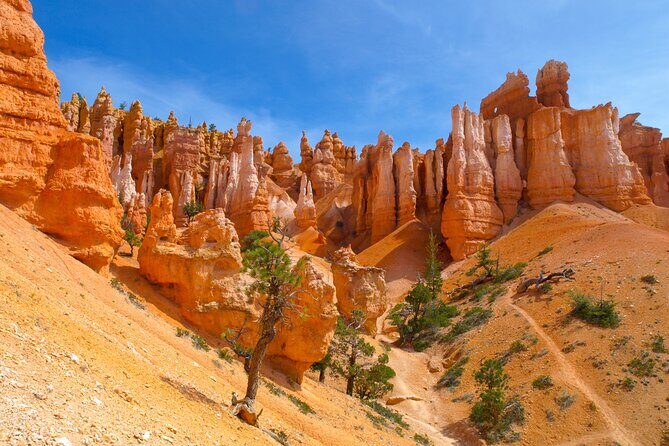 Southwest Giant Ring W/National Parks 4-Day Tour from Las Vegas - What Travelers Say
