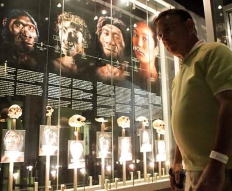 Soweto, Cradle of Mankind, Lions Park & Lesedi Cultural Vill - The Cradle of Humankind: Humanity’s Origins