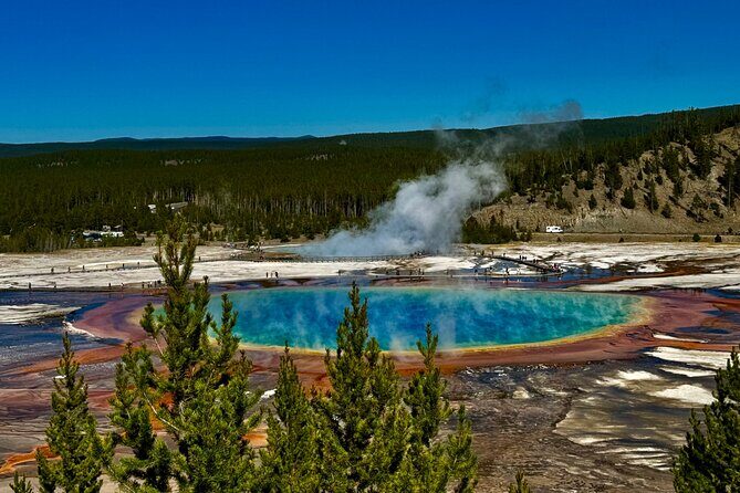 *Special* Seniors Yellowstone Lower Loop From West Yellowstone - Breakdown of the Itinerary
