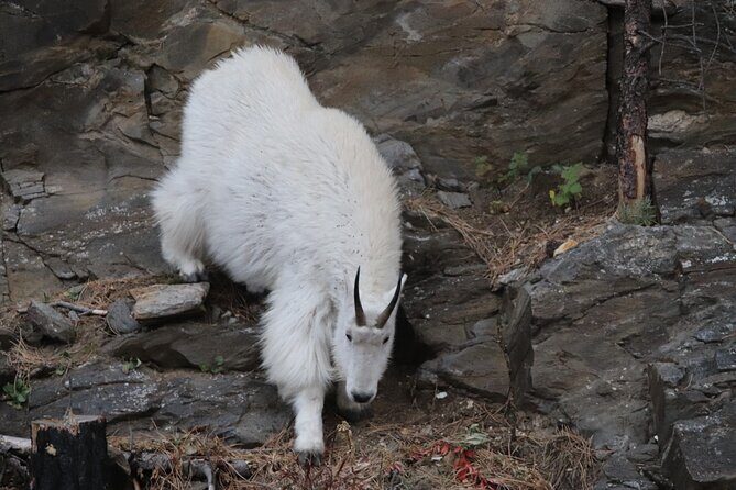 Spirit of the West: Devils Tower, Spearfish Canyon & Deadwood - Final Thoughts