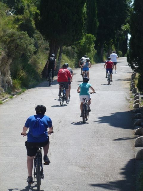 Split 3-Hour Guided Bike Tour - A Deep Dive into the Experience