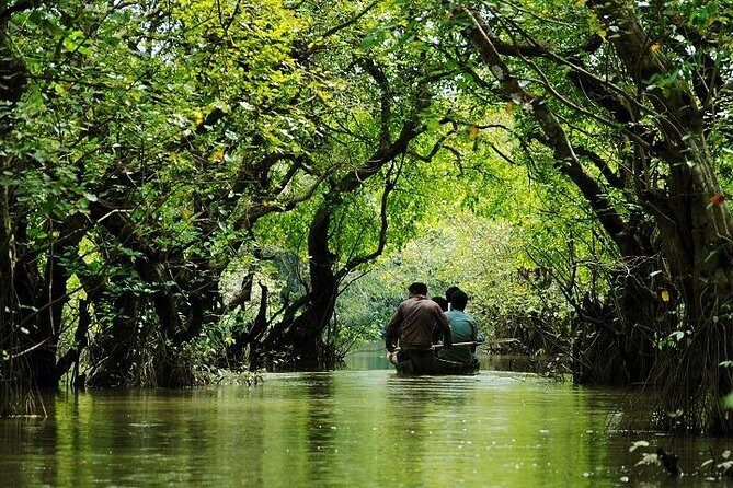 Sreemangal Tour! Sylhet, Bangladesh - Practical Details and What You Need to Know