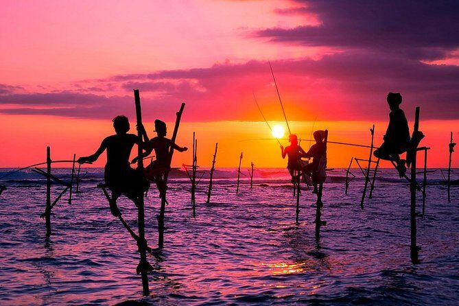 Sri Lanka 10 Days Tour Package Lifetime Experience - Who This Tour Is Best For