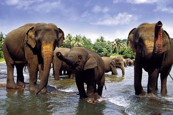 Sri Lanka at a Glance ( 09 N/ 10D) - Final Thoughts