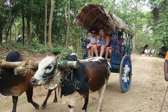 Sri Lankan Village Tour With Cooking Class - Transport, Duration, and Cost-Value Analysis