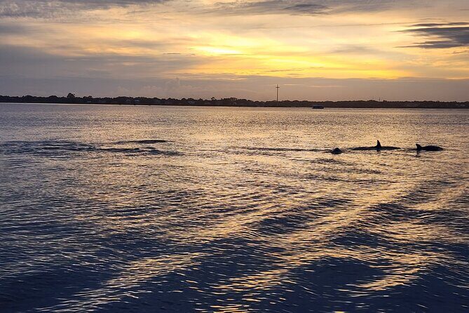 St. Augustine Private Day or Sunset Boat Tour, 6 passengers max - Authentic Experiences & Real Feedback