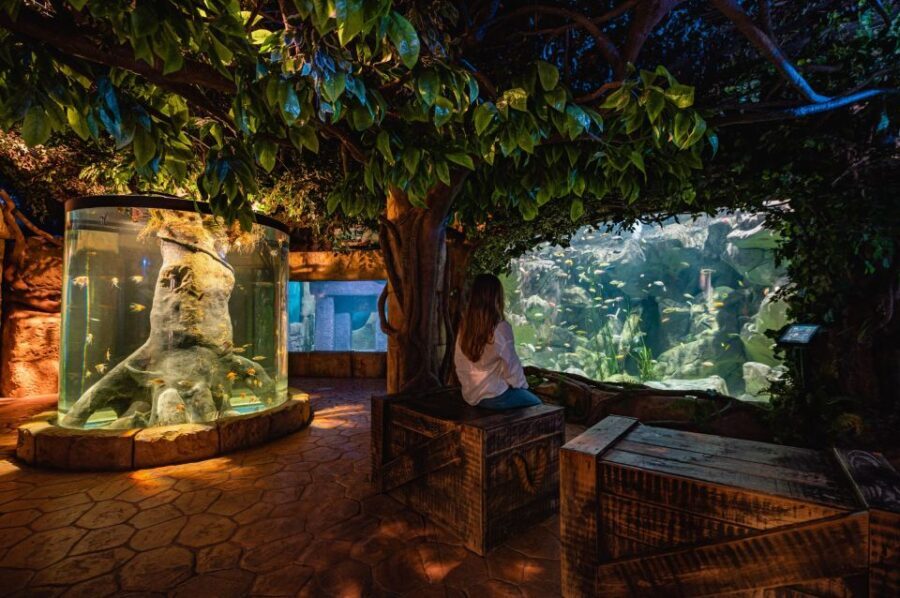 St Paul's Bay: Malta National Aquarium Entry Ticket - Marine Life and Exhibits