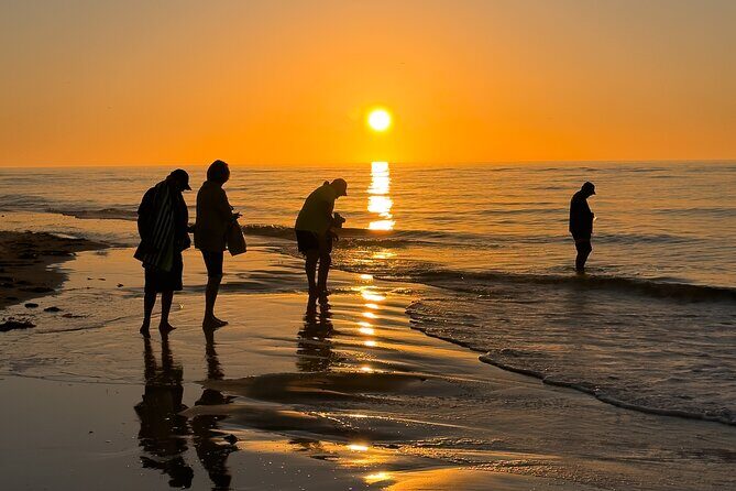 St. Pete Dolphin Watching and Island Sunset Cruise - The Sum Up