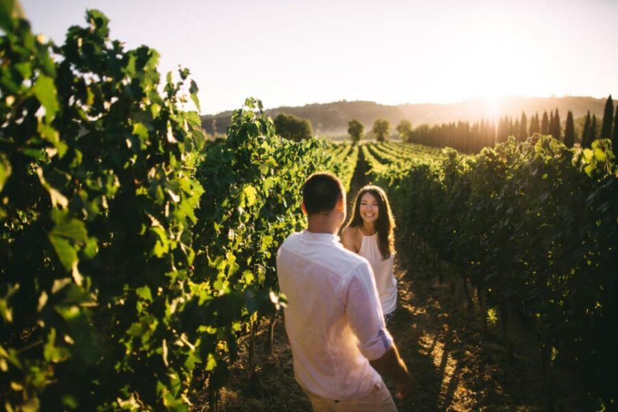 Stancija Collis: A Winery adventure in Rovinj - Who will love this tour?
