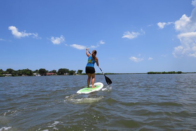 Stand Up Paddle Board Rental in Rose Bay - Wildlife Encounters and Natural Beauty
