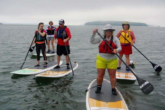 Stand Up Paddleboard Tour with Complimentary Oyster Tasting - The Value of the Tour
