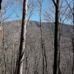 Standing Indian Mountain Hike plus Wine Tasting - An In-Depth Look at the Tour Experience