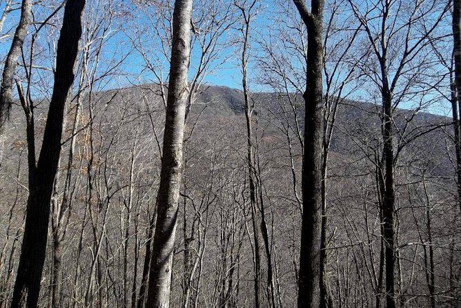 Standing Indian Mountain Hike plus Wine Tasting - An In-Depth Look at the Tour Experience