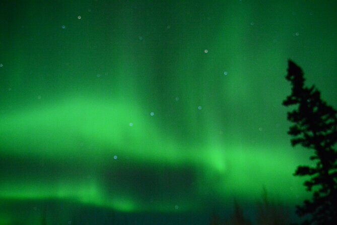 Starlight Snowshoe Adventure in Alaska - Who Will Love This Tour?