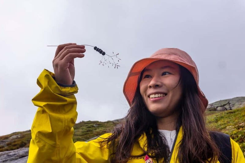 Stavanger: Kjerag Summer Hike with Packed Lunch - Final Thoughts: Is It Worth It?