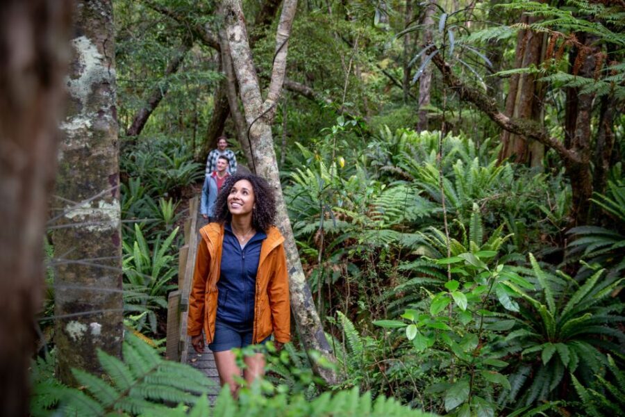 Stewart Island: Ulva Island Guided Wilderness Walk & Cruise - Introduction: A Taste of Stewart Island’s Natural Beauty