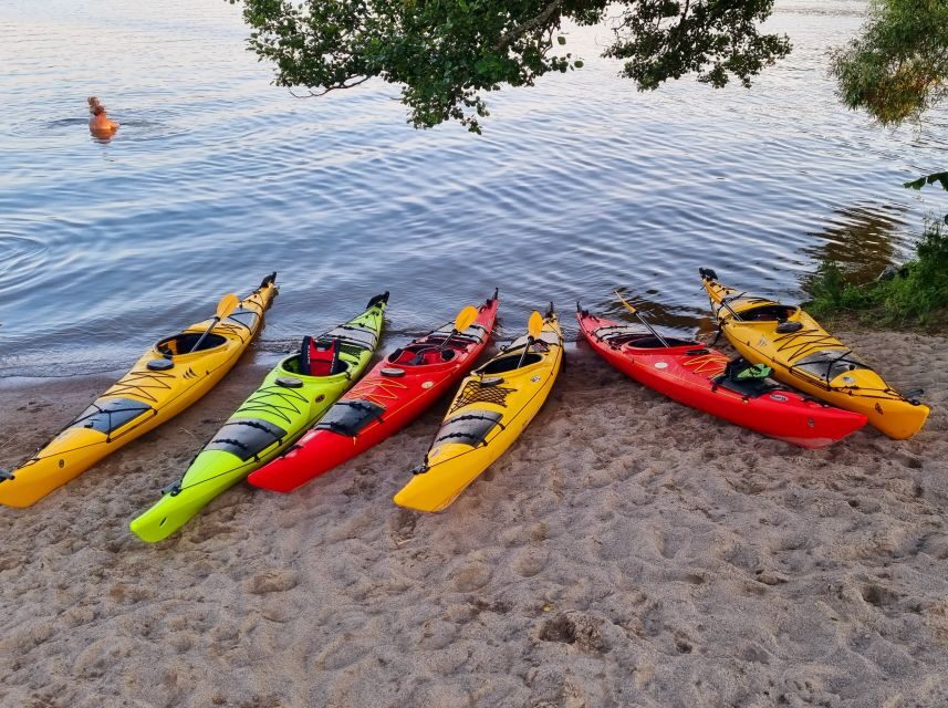 Stockholm: Guided Kayak Tour to Drottningholm Royal Palace - Practical Details and Value