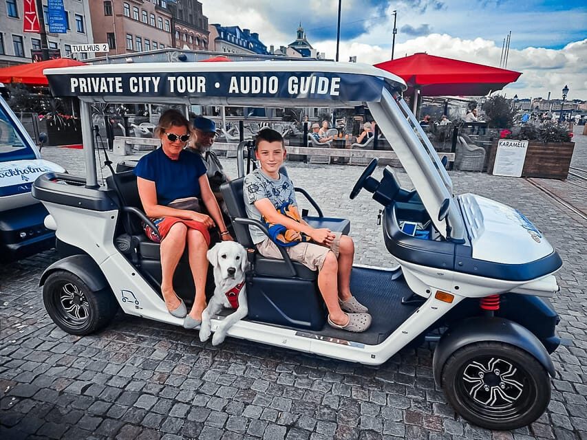Stockholm Highlights by Golf Cart Tour - A Well-Rounded Itinerary