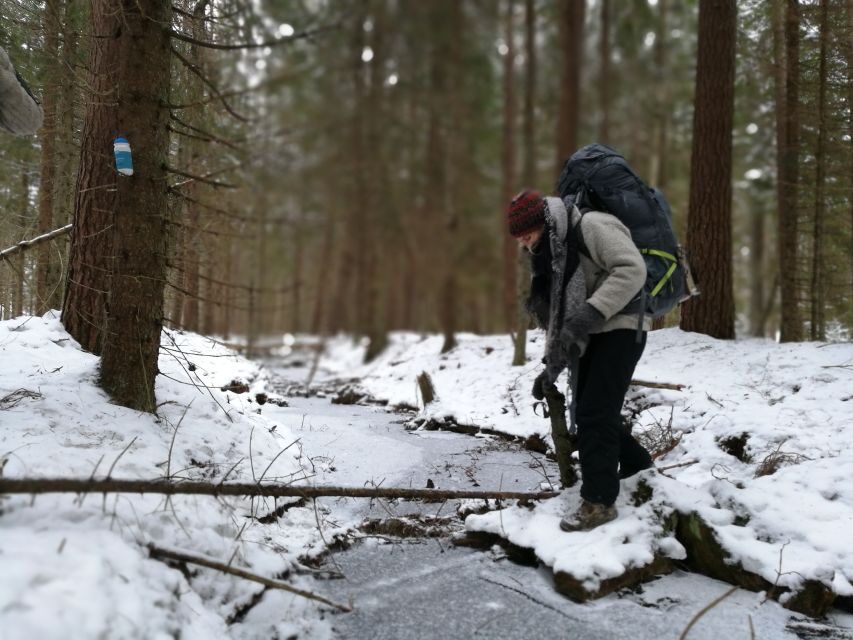 Stockholm: Nature Hike with Campfire Lunch - The Review from Participants: Authentic Insights