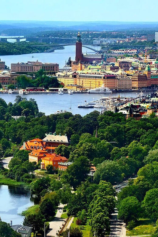 Stockholm VIP full day city tour by limousine in Stockholm - Who Will Love This Tour?