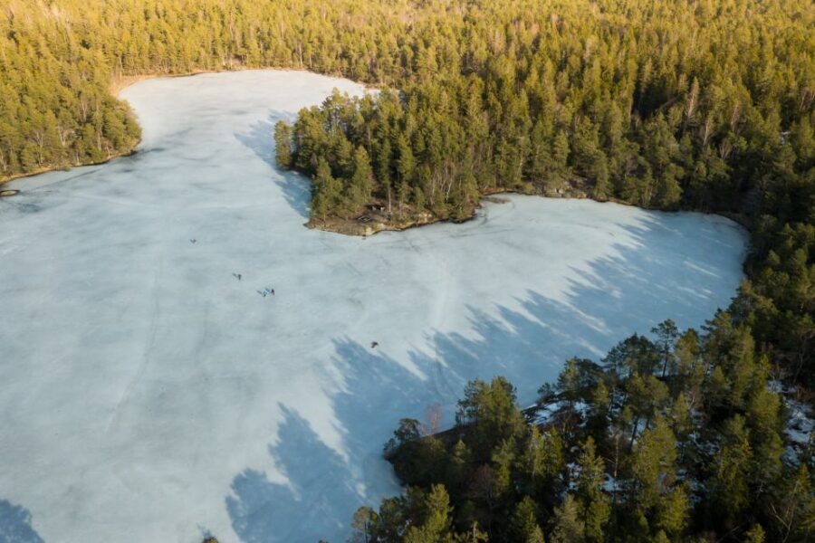 Stockholm: Winter Snowshoe Full-Day Hike - The Value of the Experience