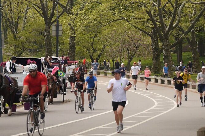 Story Behind Central Park: Manhattans Backyard, Wilderness by Design - The Sum Up: Who Is This Tour Best For?