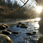 Stroll Back in Time Smokies History Streams and Forest Hike - The Itinerary in Detail