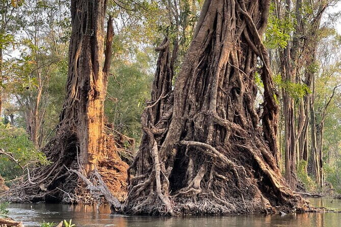 Stung Treng Canoeing In Mekong River - The Serene Waterway: Canoeing on the Mekong River
